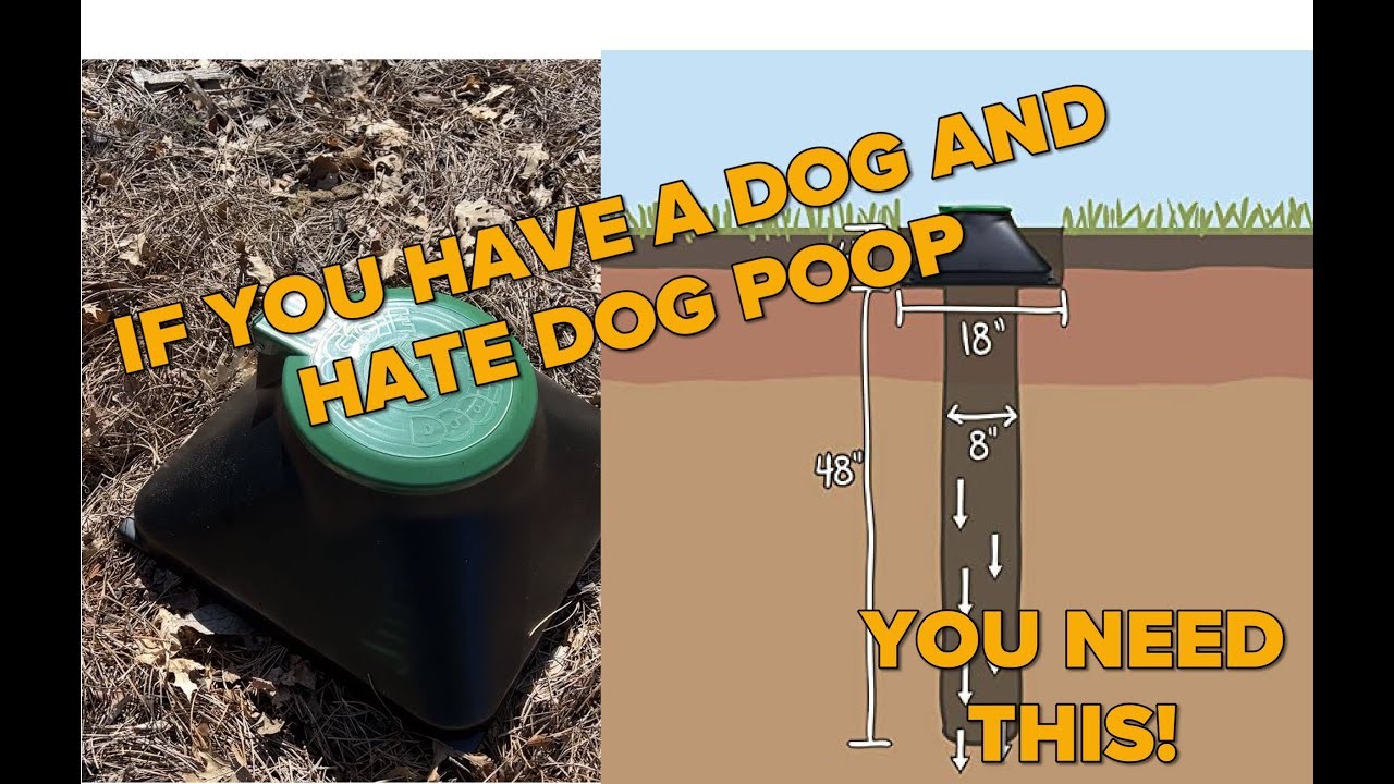 Is it Possible for Dog Poop to Contaminate the Water Supply?