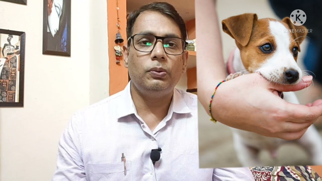 È possibile che un cane sano trasmetta la rabbia?