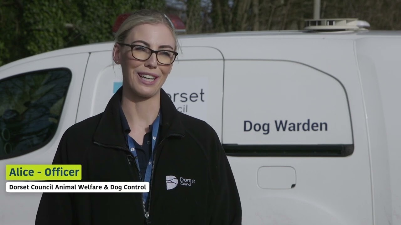 Understanding the Dog Breeding License Requirements for 2018