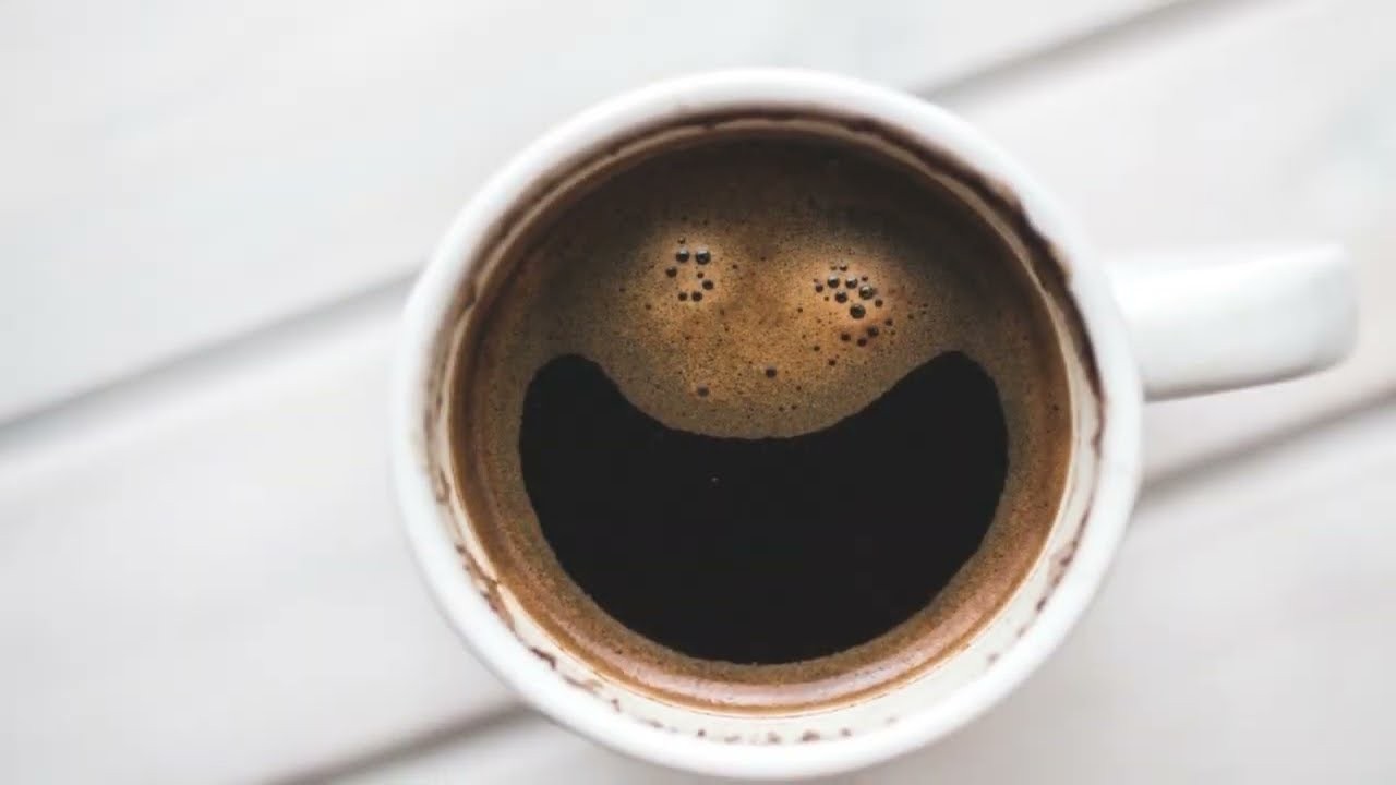 Qué hacer si su perro bebe café