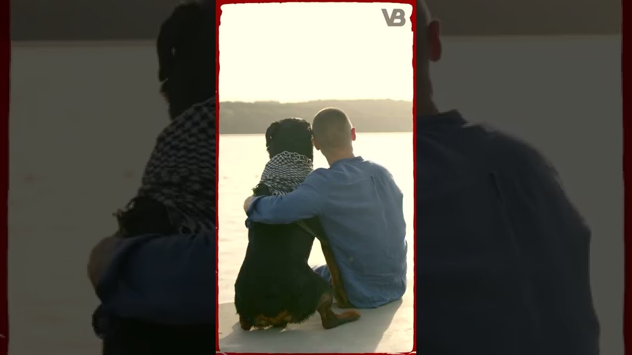 ¿Qué razas de perros nacen con la cola corta?