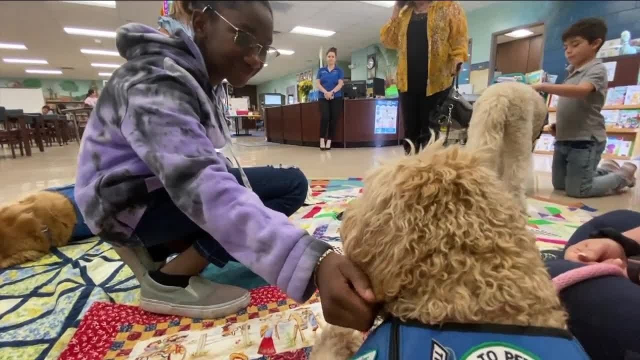 Are Therapy Dogs Allowed in Schools?