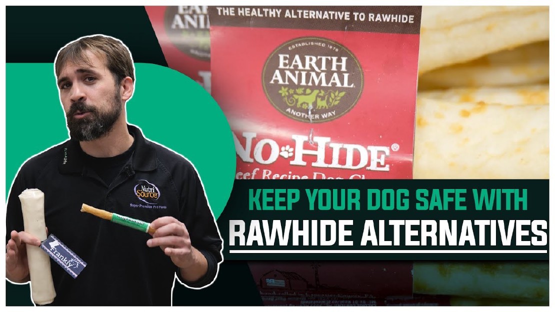 As mastigações para cães No Hide são seguras para o seu melhor amigo?