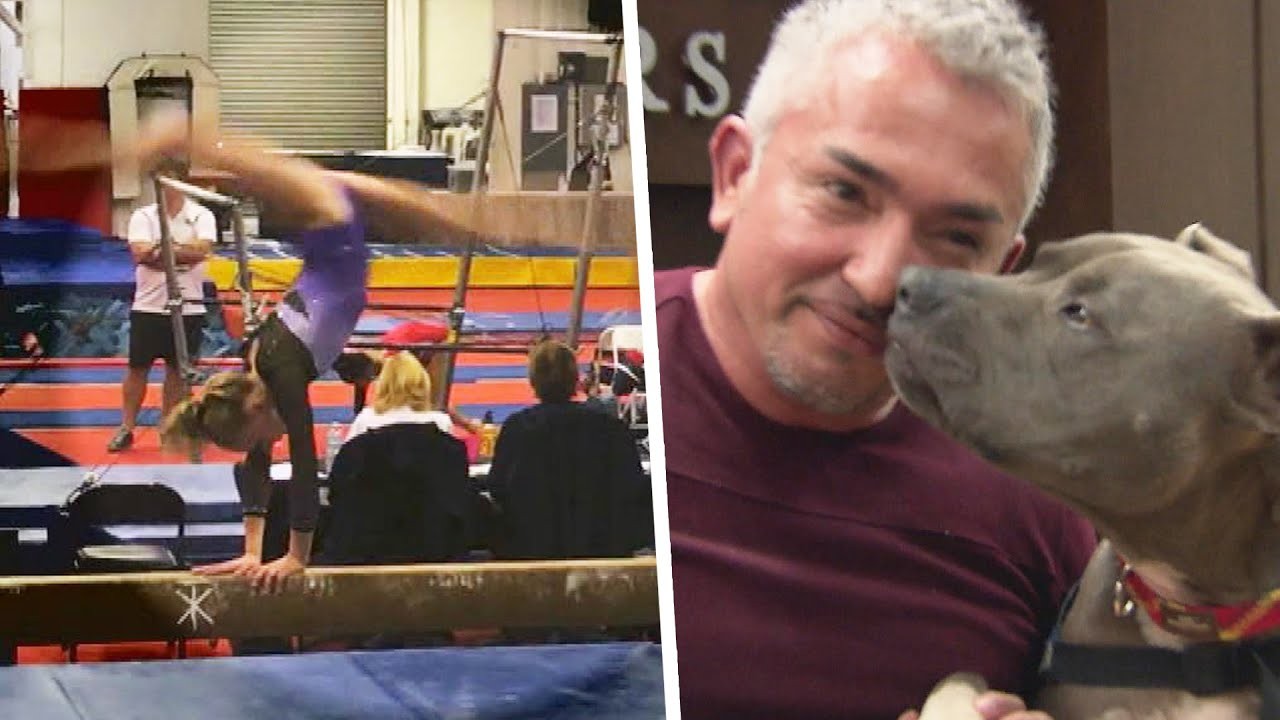 Is Cesar Millan's Dog Daddy Still Alive?