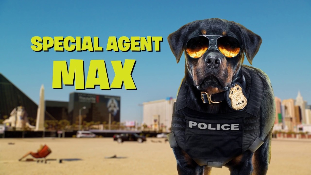 Conozca al actor que interpreta a Max en Show Dogs