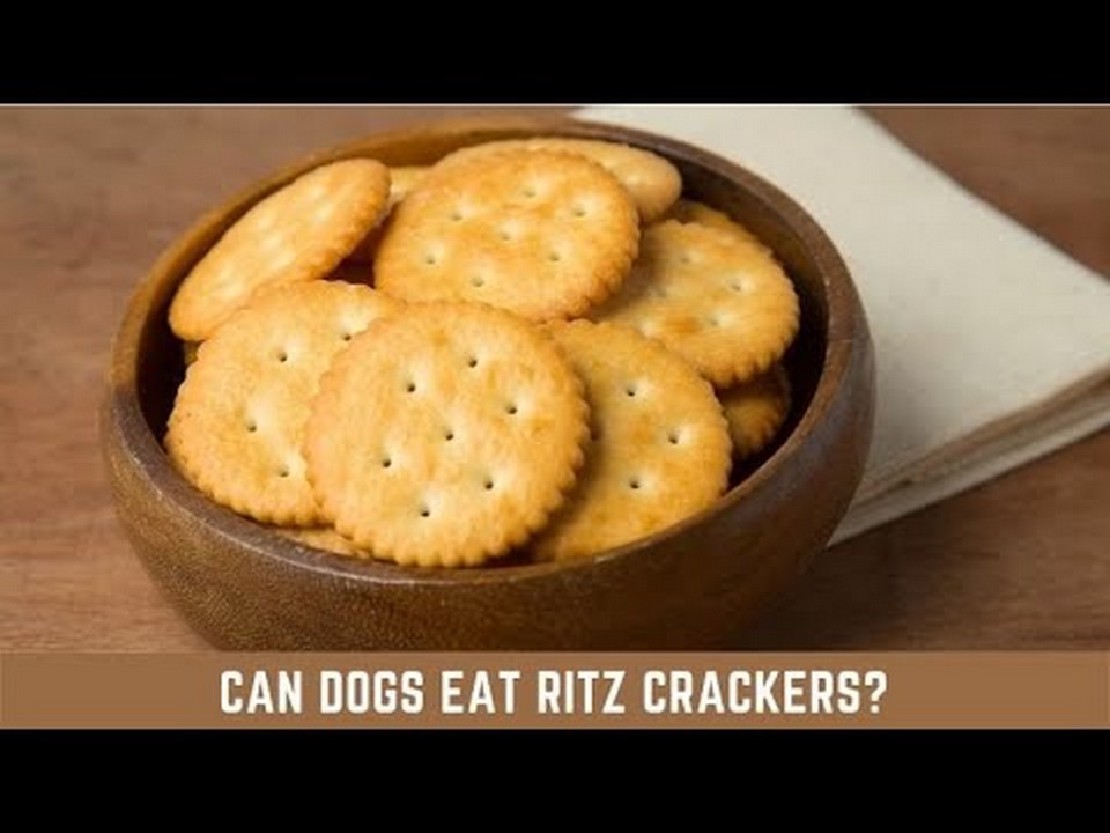 Zijn Ritz Crackers veilig voor honden? Wat u moet weten
