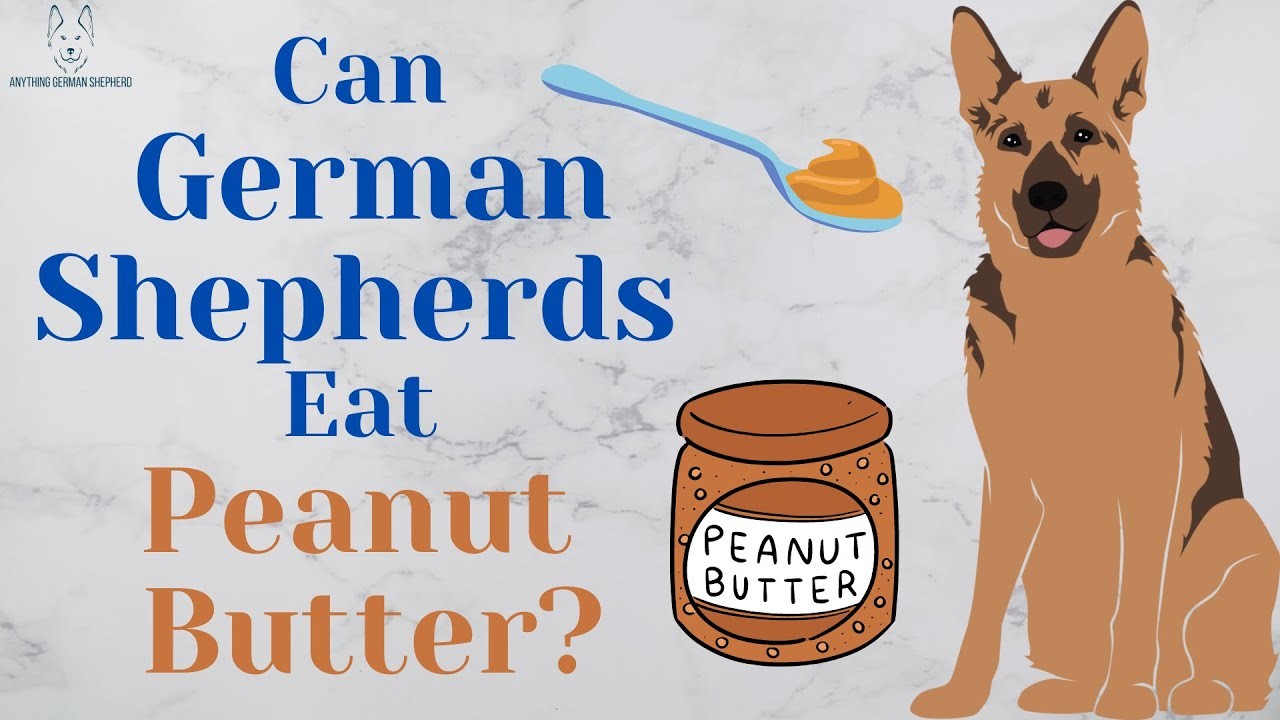 Can German Shepherd Puppies Eat Peanut Butter?