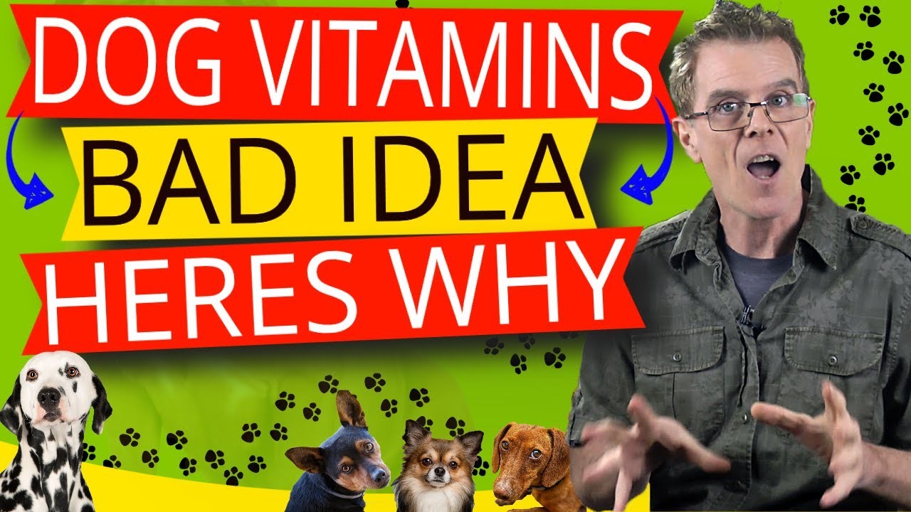 Benefits of Vitamin A for Dogs: A Guide