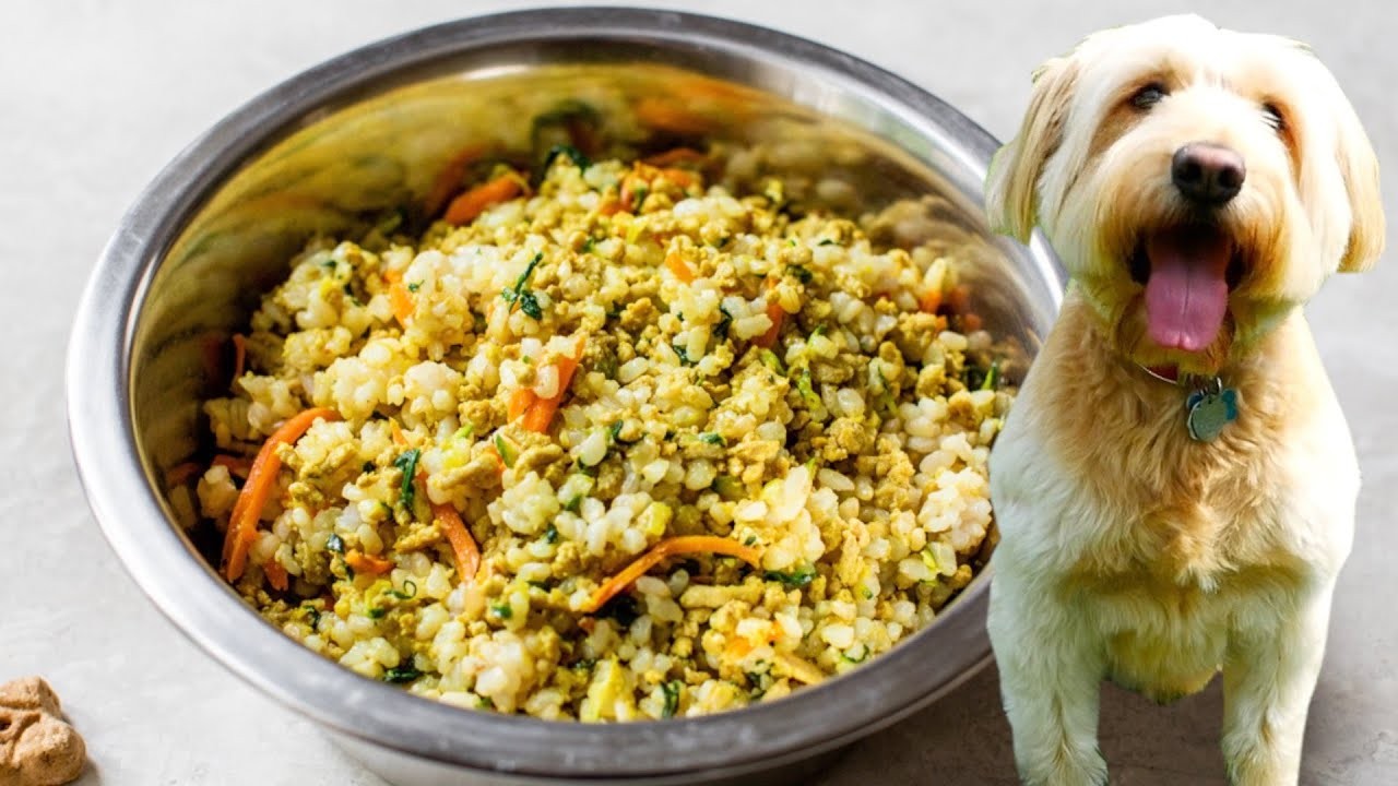 Top comidas caseras para perros que son buenos para su perro
