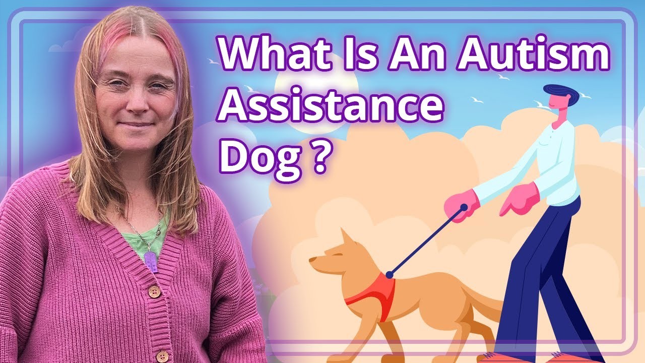 Conditions d'obtention d'un chien d'assistance pour autistes : Ce qu'il ...