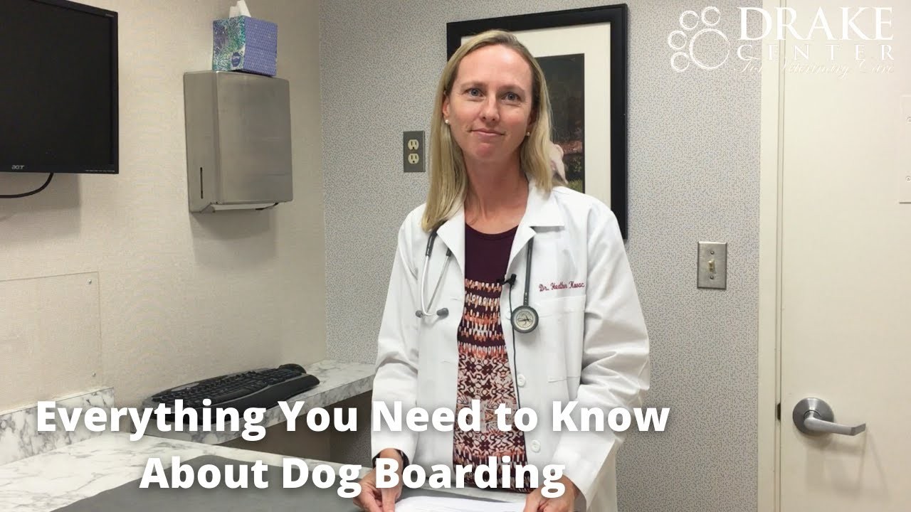 Should You Tip for Dog Boarding?