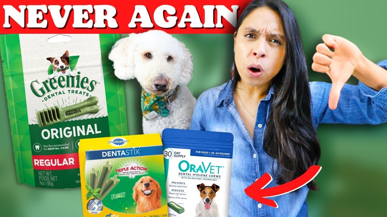 Are Kirkland Greenies Safe for Dogs? Unveiling the Truth Behind the ...