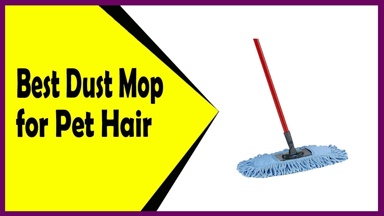 Top Picks for Dog Hair: Discover the Best Dust Mop for Your Home