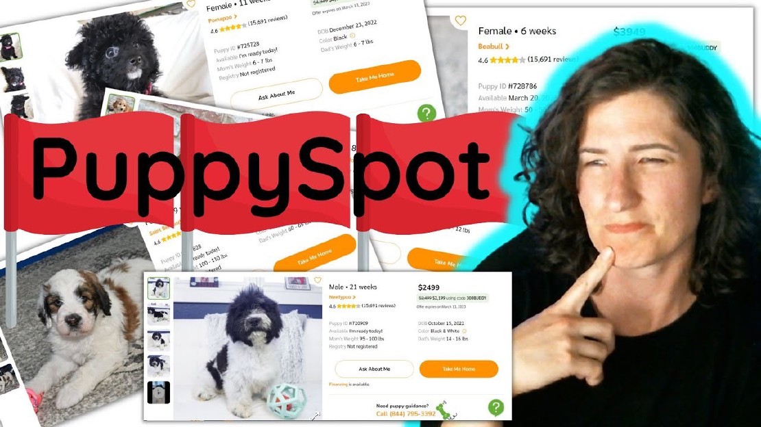 Is Puppyspot Associated with Puppy Mills?