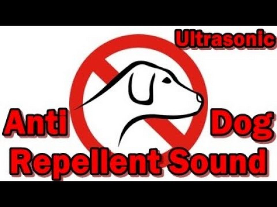 How to Repel Angry Dogs with a Powerful Sound