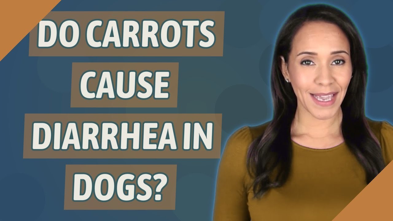Les carottes cuites peuvent-elles donner des selles molles aux chiens Les carottes cuites peuvent-elles donner des selles molles aux chiens