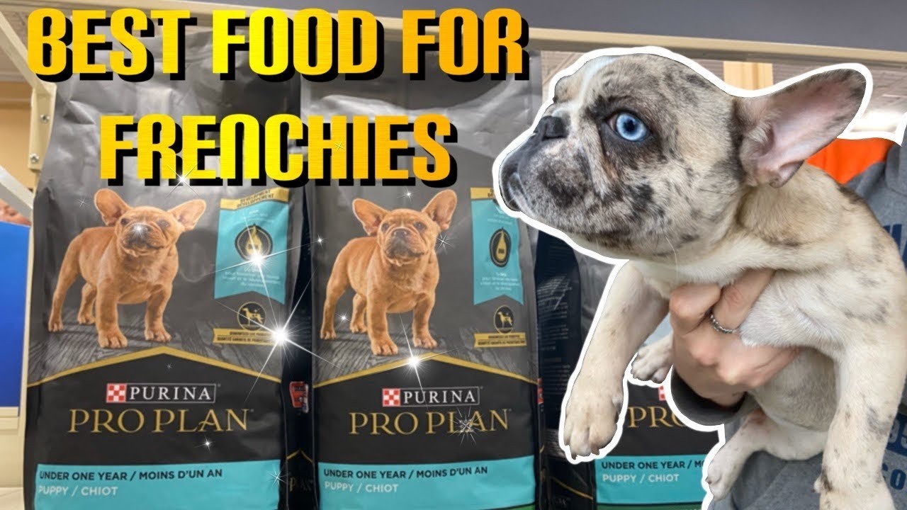 Choosing the Right Dog Food for French Bulldogs: A Guide to Optimal ...