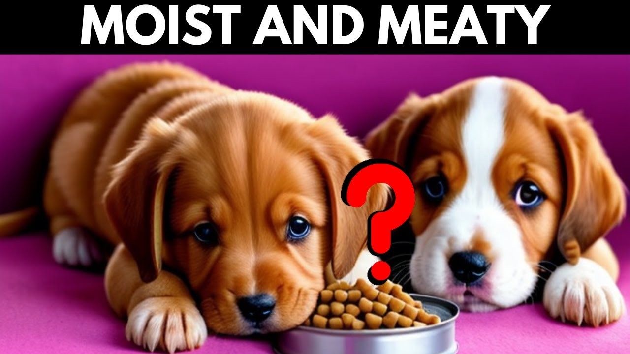 Cómo elegir la mejor comida húmeda para cachorros: Guía completa