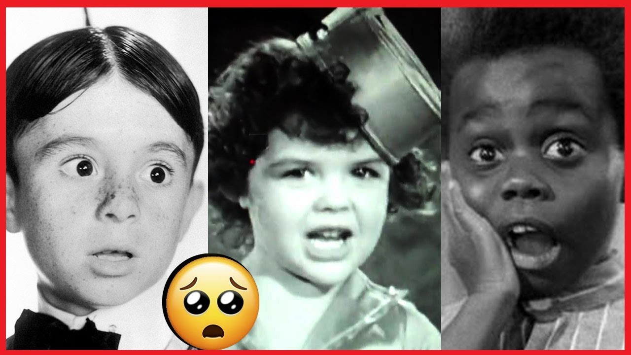 When and How did the Dog from Little Rascals Pass Away?