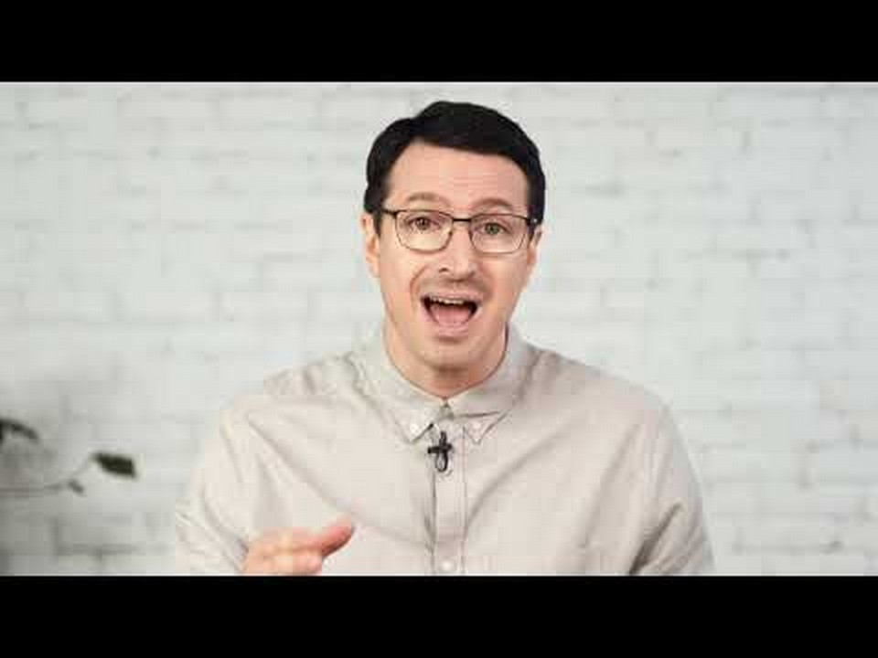 Comprender el comportamiento: ¿Por qué mi perro se abalanza sobre su ...