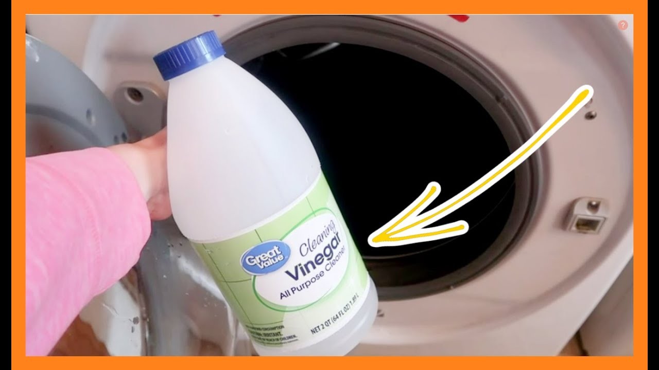 Les avantages du lin pour la gestion des poils du chien