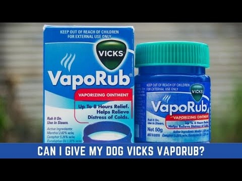 Vicks est-il sans danger pour les chiens