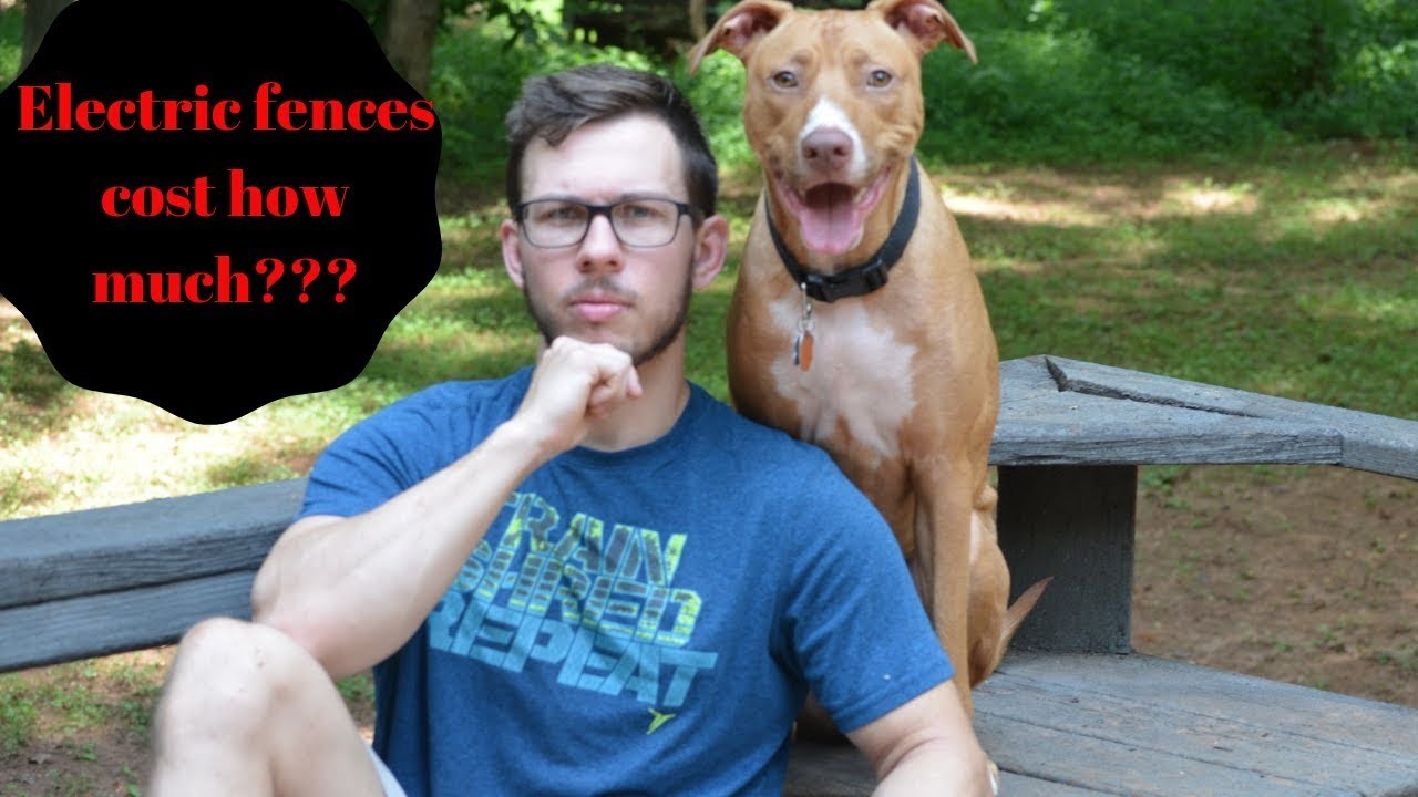 How much does an invisible dog fence cost? How much does an invisible dog fence cost?