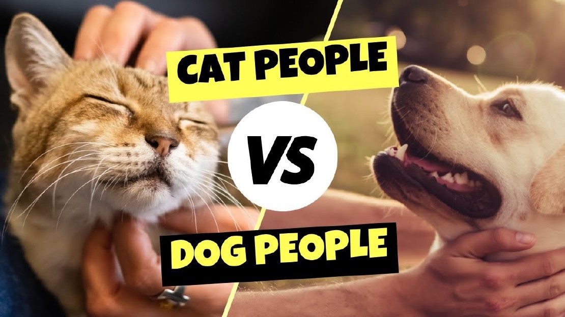 Are You a Cat Person, Dog Person, or Both?