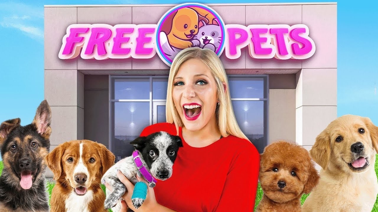 Are pet shops allowed to sell dogs?